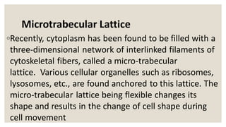 Cytoskeleton - microtubules ,microfilaments and intermediate filaments ...