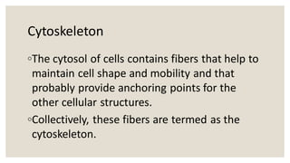 Cytoskeleton - microtubules ,microfilaments and intermediate filaments ...