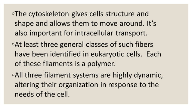Cytoskeleton - microtubules ,microfilaments and intermediate filaments | PPT