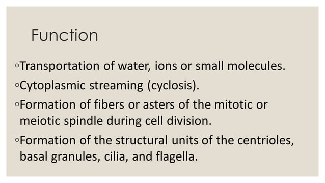Cytoskeleton - microtubules ,microfilaments and intermediate filaments ...