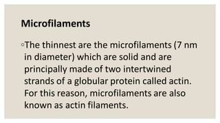 Cytoskeleton - microtubules ,microfilaments and intermediate filaments ...