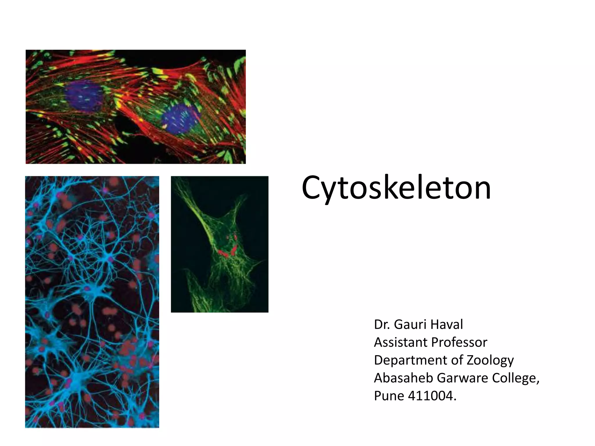 Cytoskeleton | PPT