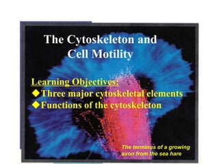 cytoskeleton.pptx