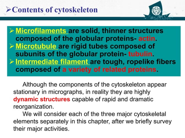cytoskeleton.pptx
