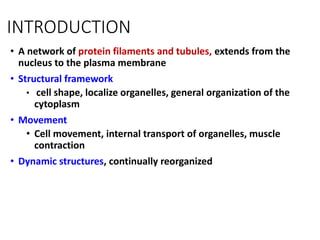 CYTOSKELETON.pptx
