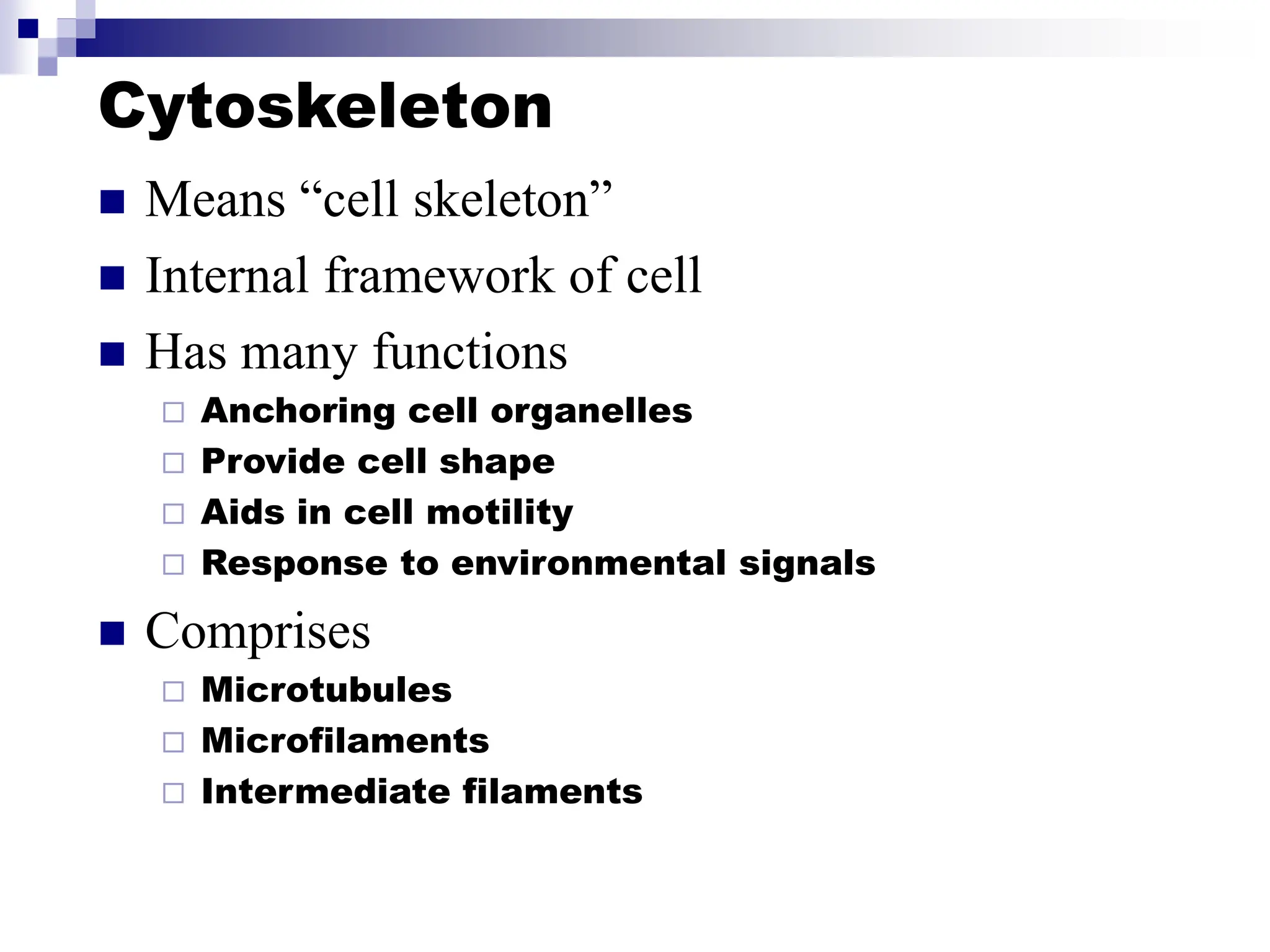 cytoskeleton.ppt