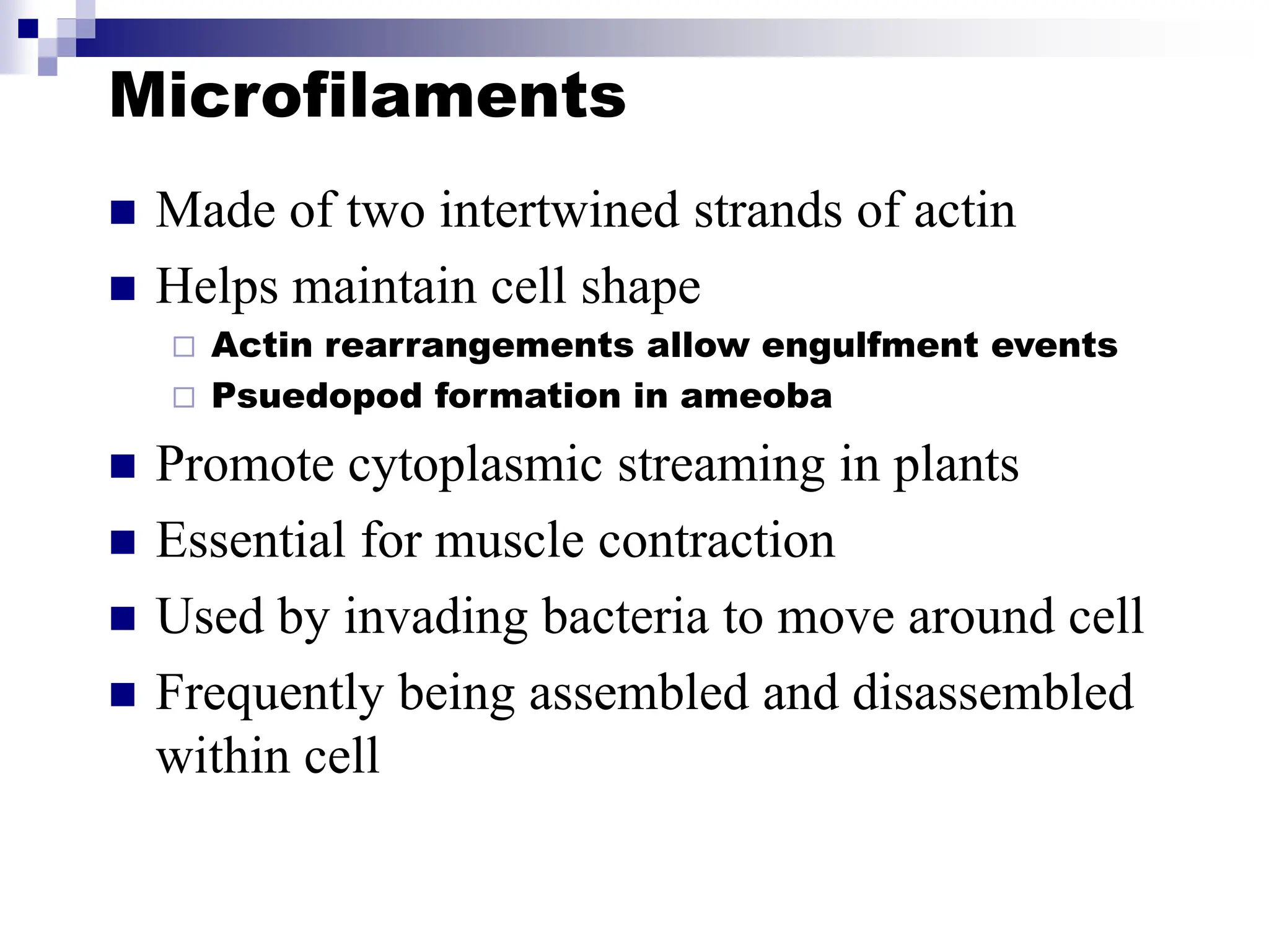 cytoskeleton for shape and size in plants and animals | PPT