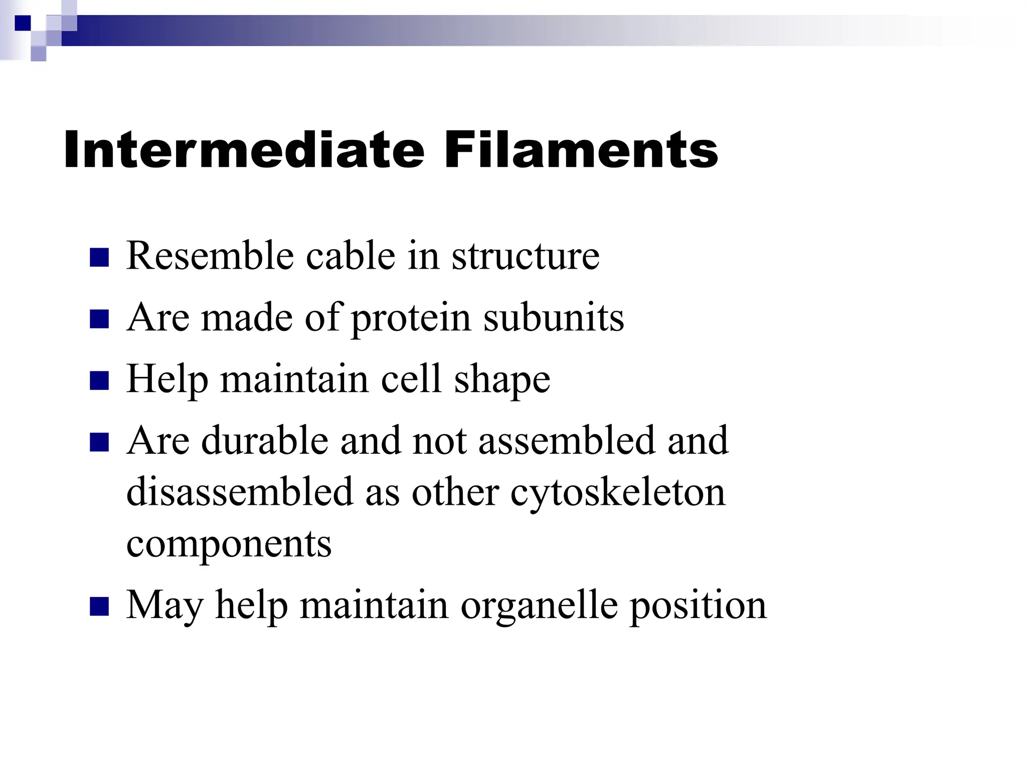 cytoskeleton for shape and size in plants and animals | PPT