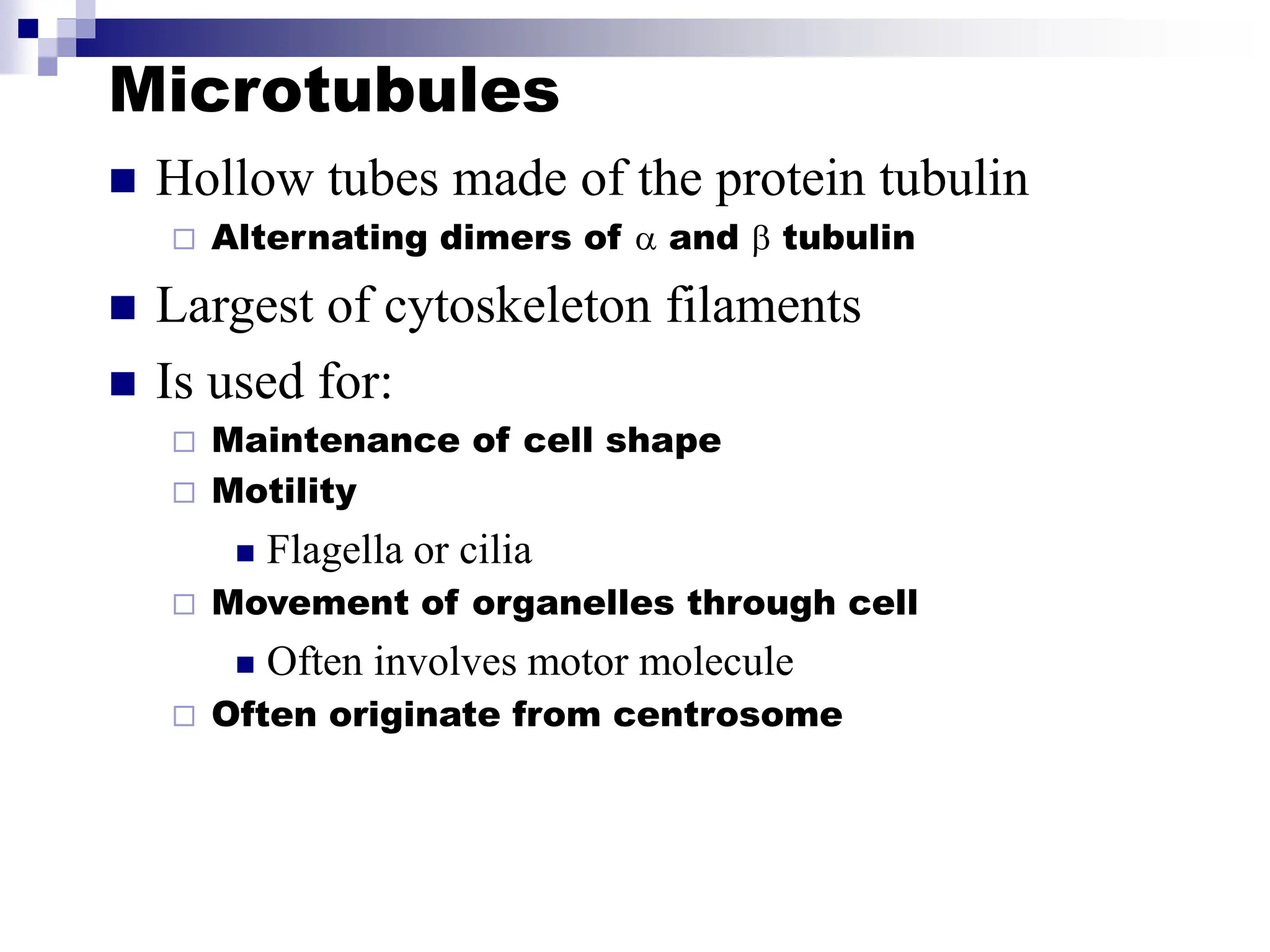 cytoskeleton for shape and size in plants and animals | PPT