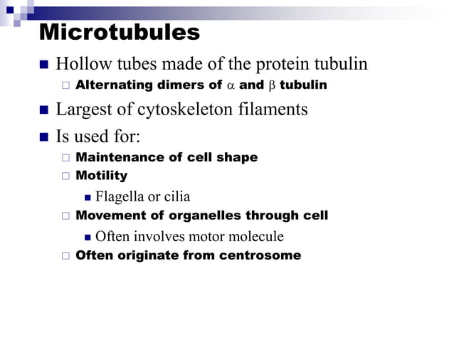 cytoskeleton for shape and size in plants and animals | PPT