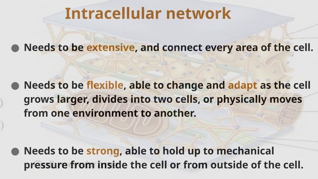 Cell membrane organelles cytoskeleton structure and function | PPT