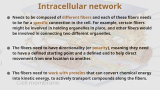 Cell membrane organelles cytoskeleton structure and function | PPT