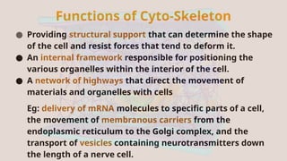 Cell membrane organelles cytoskeleton structure and function | PPT