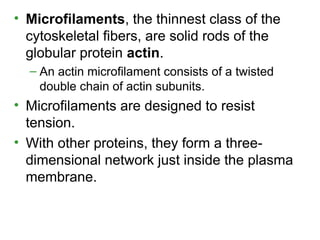 Cytoskeleton organelle of the cell structure.ppt