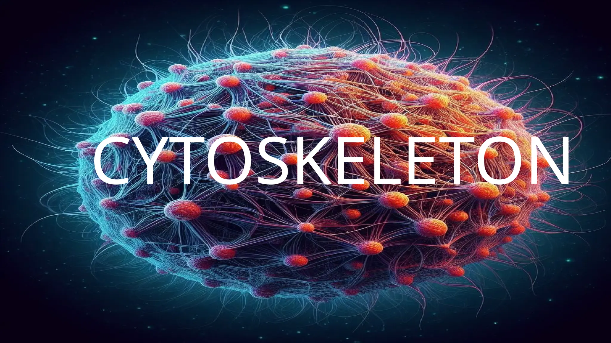 cytoskeleton deffination, types, explanation about the types and brief structures.pptx