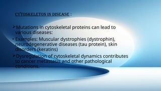 cytoskeleton deffination, types, explanation about the types and brief ...