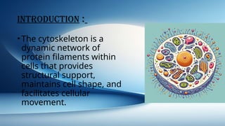 cytoskeleton deffination, types, explanation about the types and brief structures.pptx