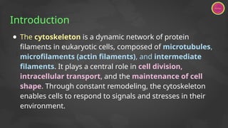 Cytoskeleton.pptxtdrrdetdgurvvvjljhfvbjyj | PPTX