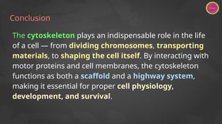 Cytoskeleton.pptxtdrrdetdgurvvvjljhfvbjyj | PPTX