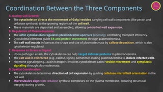 Cytoskeleton.pptxtdrrdetdgurvvvjljhfvbjyj | PPTX