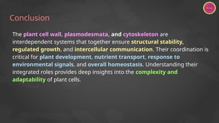 Cytoskeleton.pptxtdrrdetdgurvvvjljhfvbjyj | PPTX