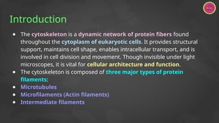 Cytoskeleton.pptxtdrrdetdgurvvvjljhfvbjyj | PPTX