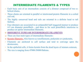 Cytoskeleton- it's different types and Cytodifferentiation | PDF