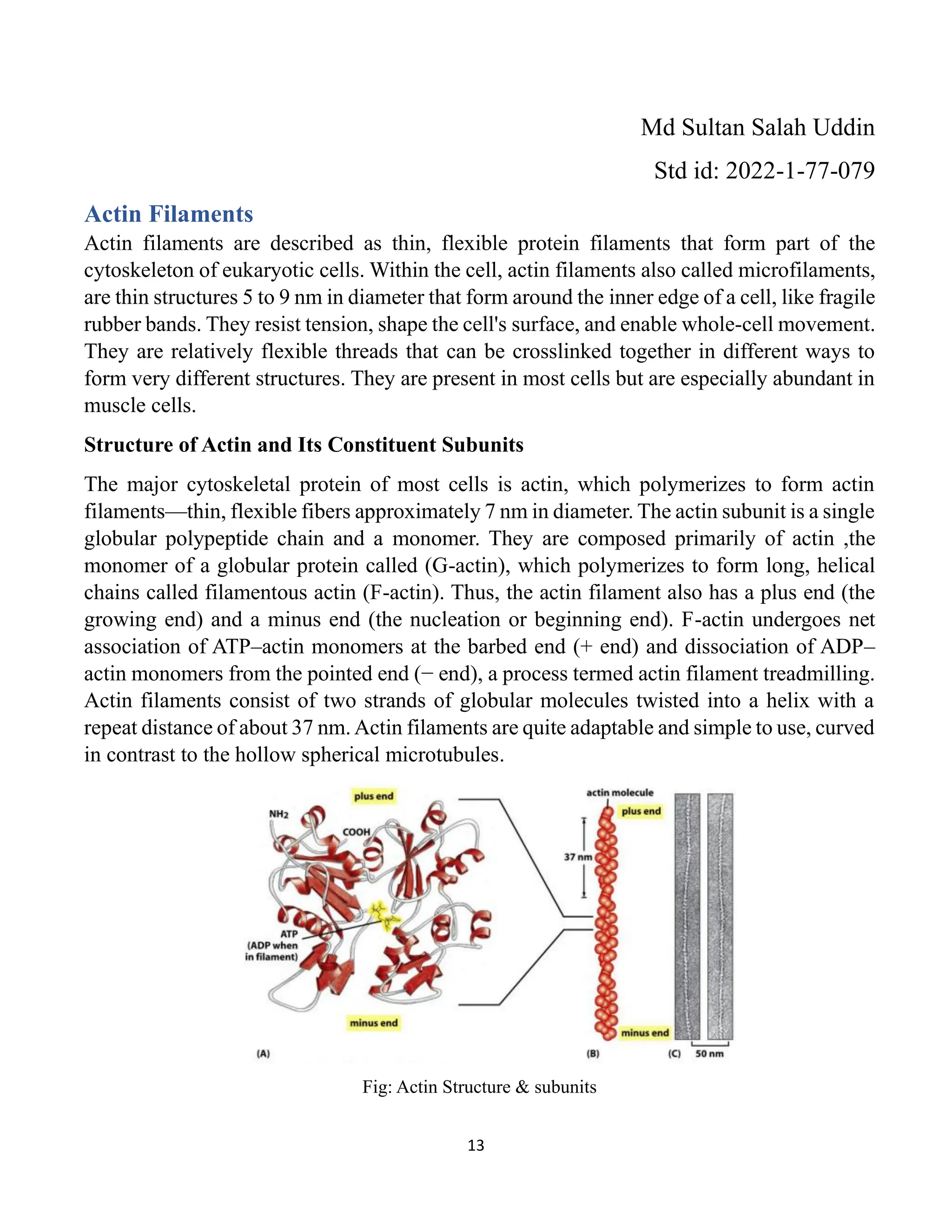 "cytoskeleton and its Components"-assignment.pdf