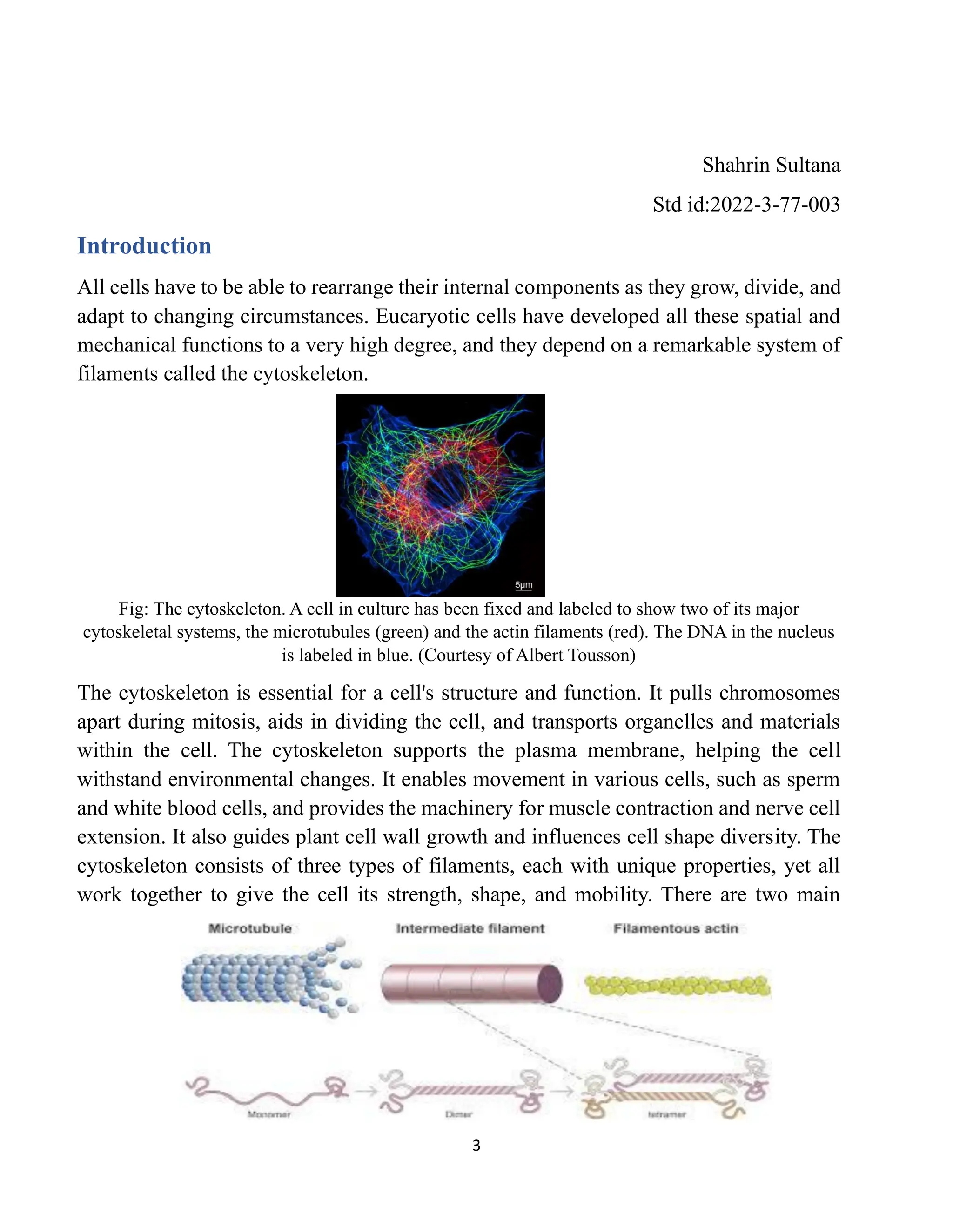 "cytoskeleton and its Components"-assignment.pdf