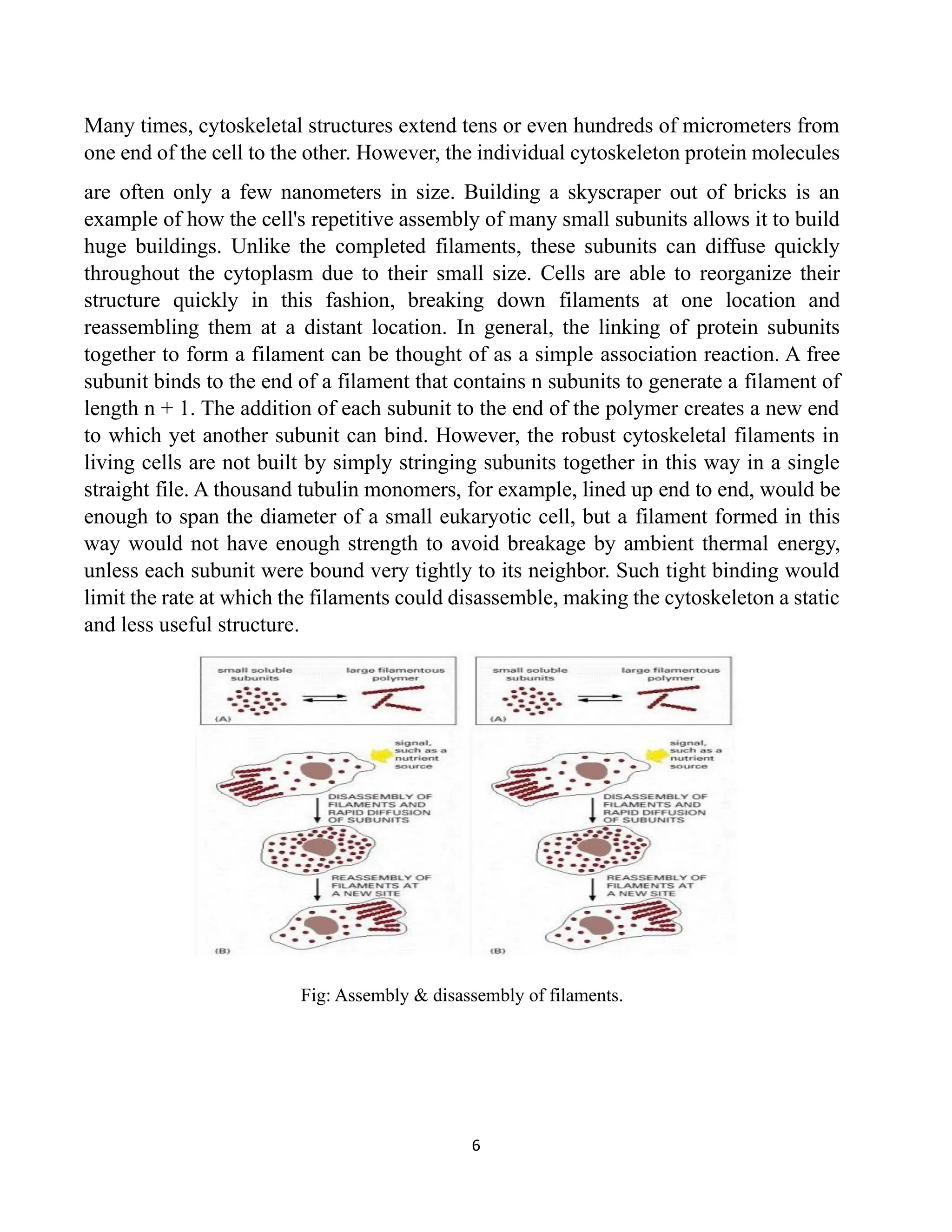 "cytoskeleton and its Components"-assignment.pdf