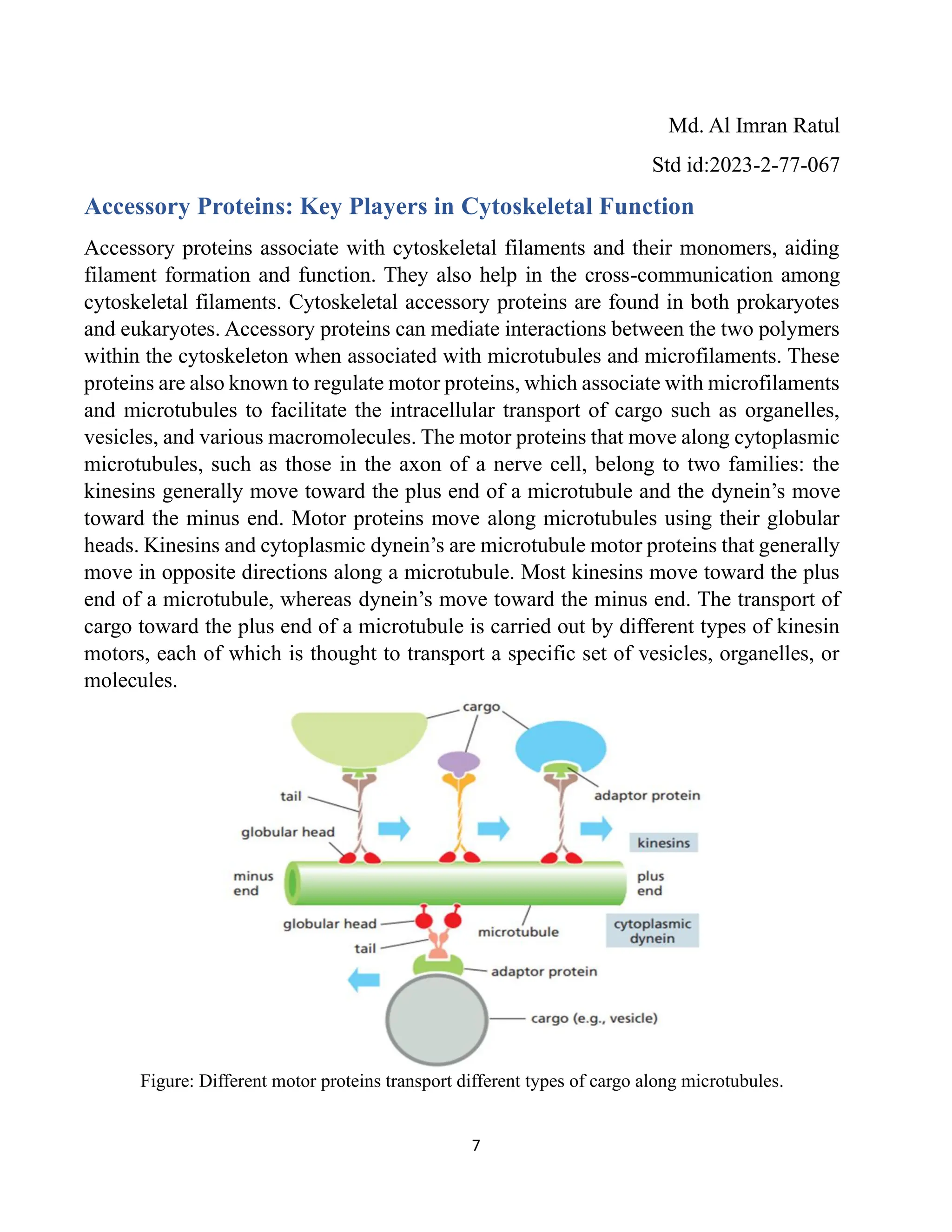 "cytoskeleton and its Components"-assignment.pdf