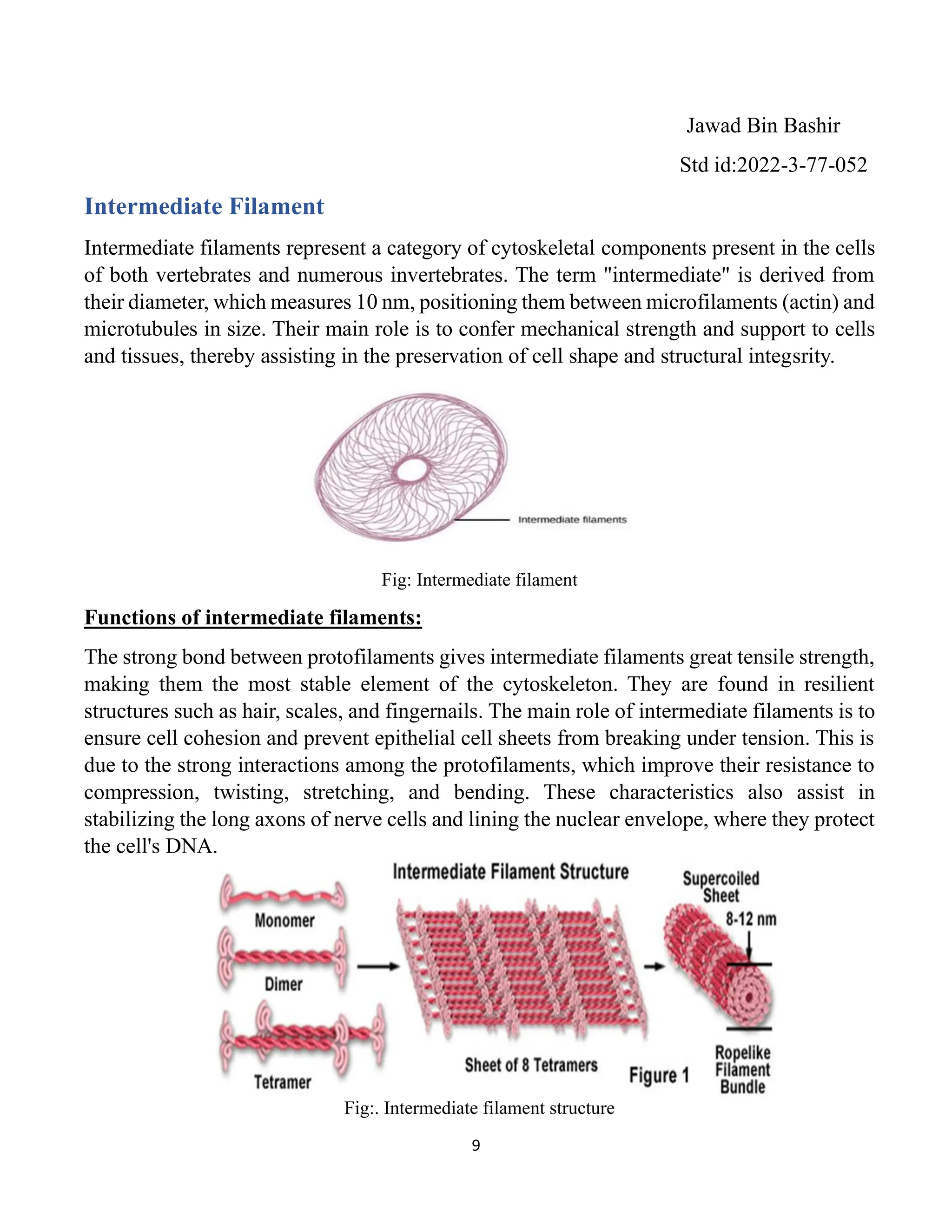 "cytoskeleton and its Components"-assignment.pdf