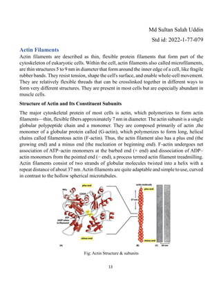 "cytoskeleton and its Components"-assignment.pdf