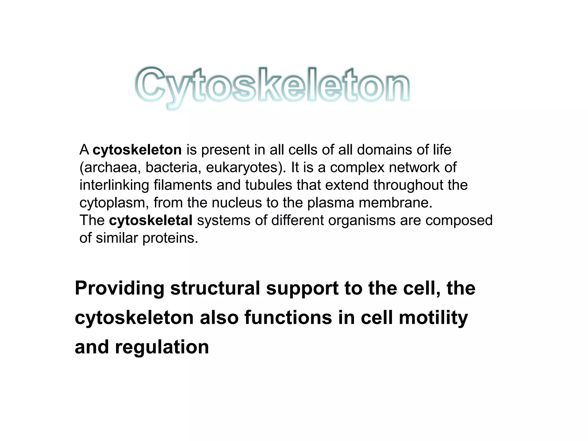Cytoskeleton | PPT