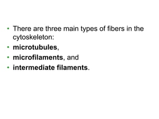 Cytoskeleton | PPT