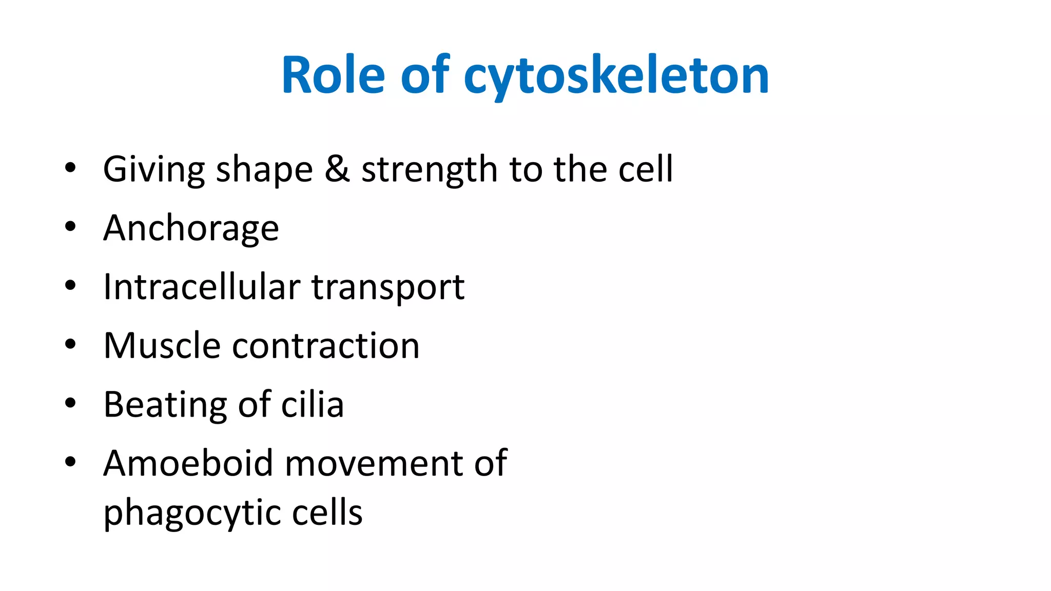 Cytoskeleton and Molecular Motors - with YouTube video | PPTX