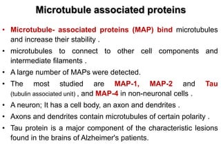structure and functions of cytoskeletons | PPTX