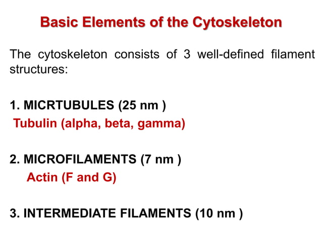 structure and functions of cytoskeletons | PPTX | Chemistry | Science