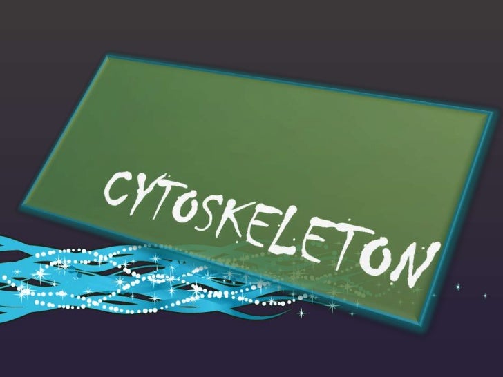 Cytoskeleton Quotes