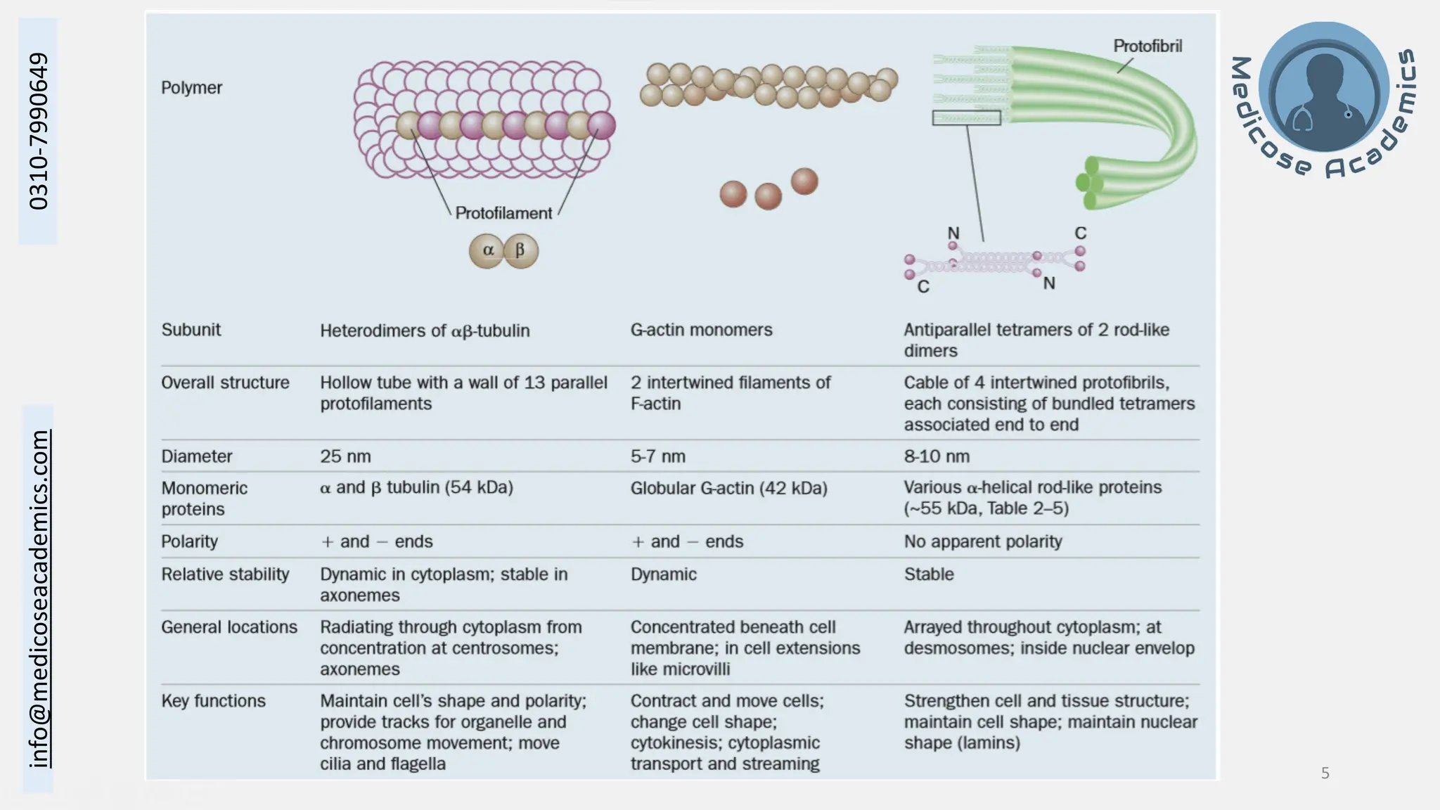Cytoskeleton and Cell Inclusions - Dr Muhammad Ali Rabbani - Medicose ...