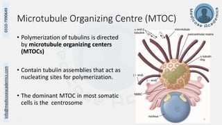 Cytoskeleton and Cell Inclusions - Dr Muhammad Ali Rabbani - Medicose ...