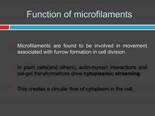 Cytoskeleton | PPTX