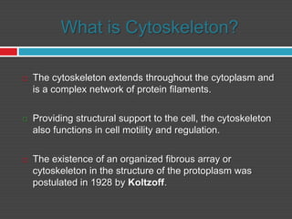 Cytoskeleton Definition