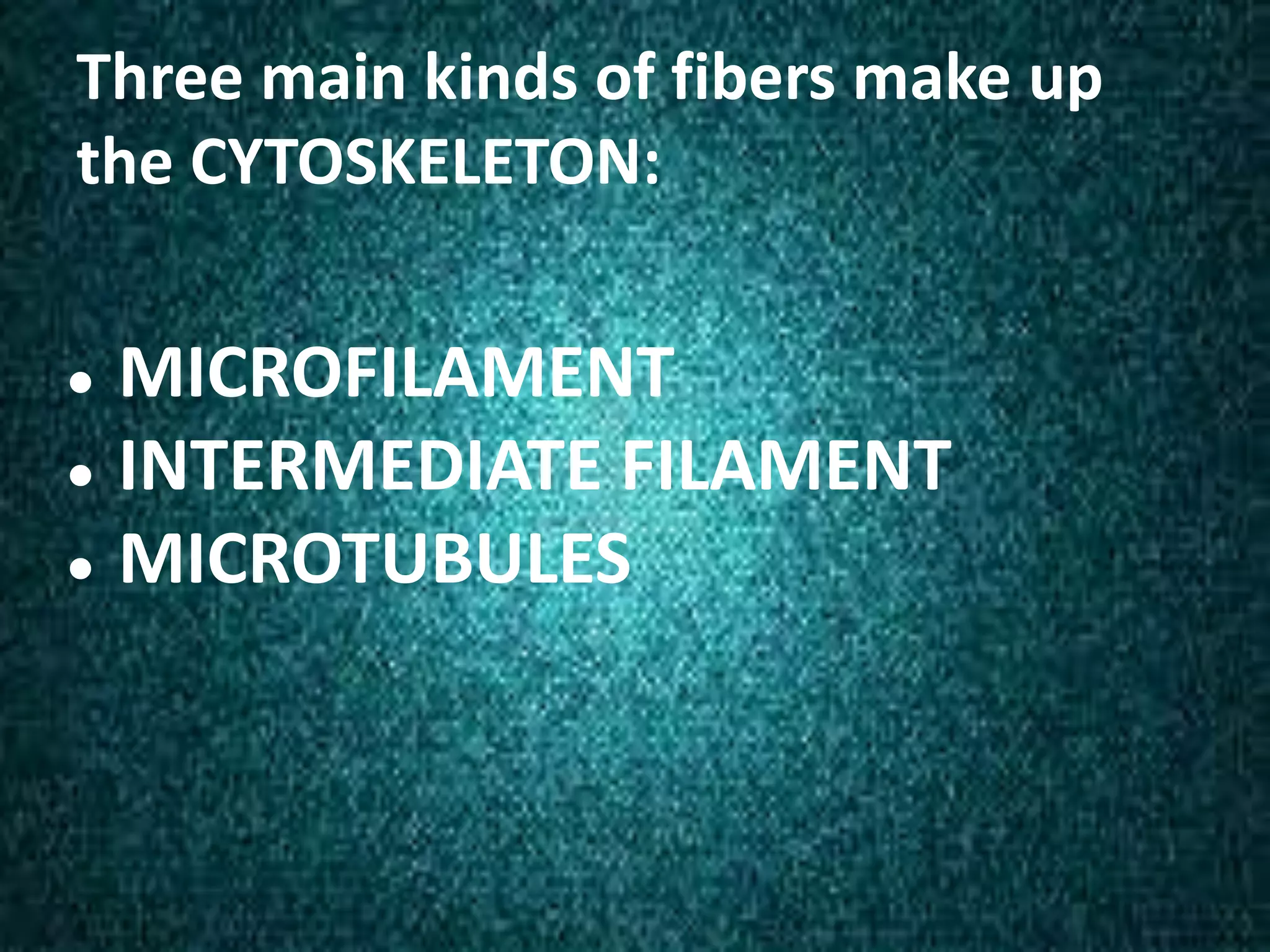 Cytoskeleton , cell shape and cell motility | PPTX