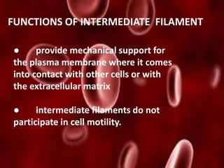 Cytoskeleton , cell shape and cell motility | PPTX