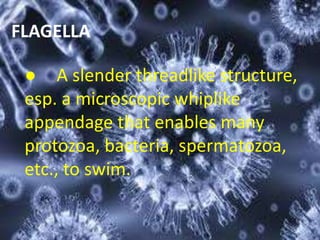 Cytoskeleton , cell shape and cell motility | PPTX