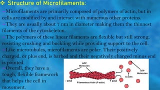 Cytoskeleton | PDF