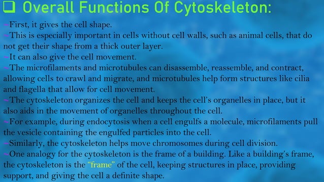 Cytoskeleton Ppt