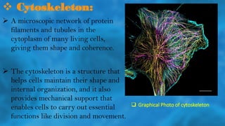 Cytoskeleton | PDF