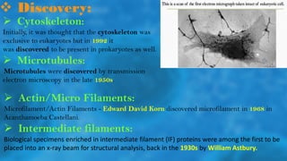 Cytoskeleton | PDF